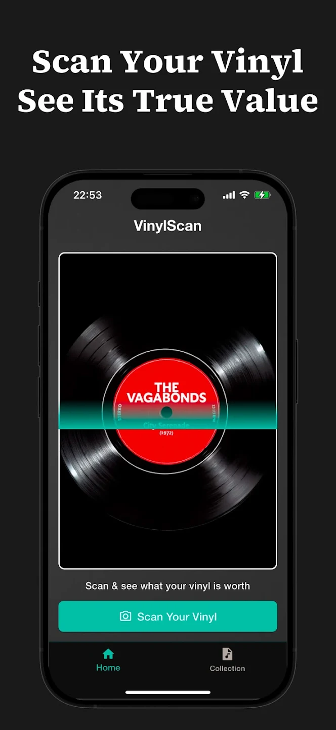 VinylSnap - Scan, Value & Organize Vinyl Records